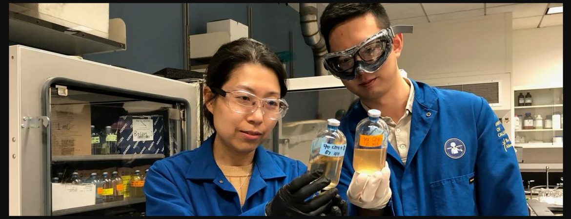 Biological cleanup discovered for certain “forever chemicals ... Biological cleanup discovered for certain “forever chemicals ...